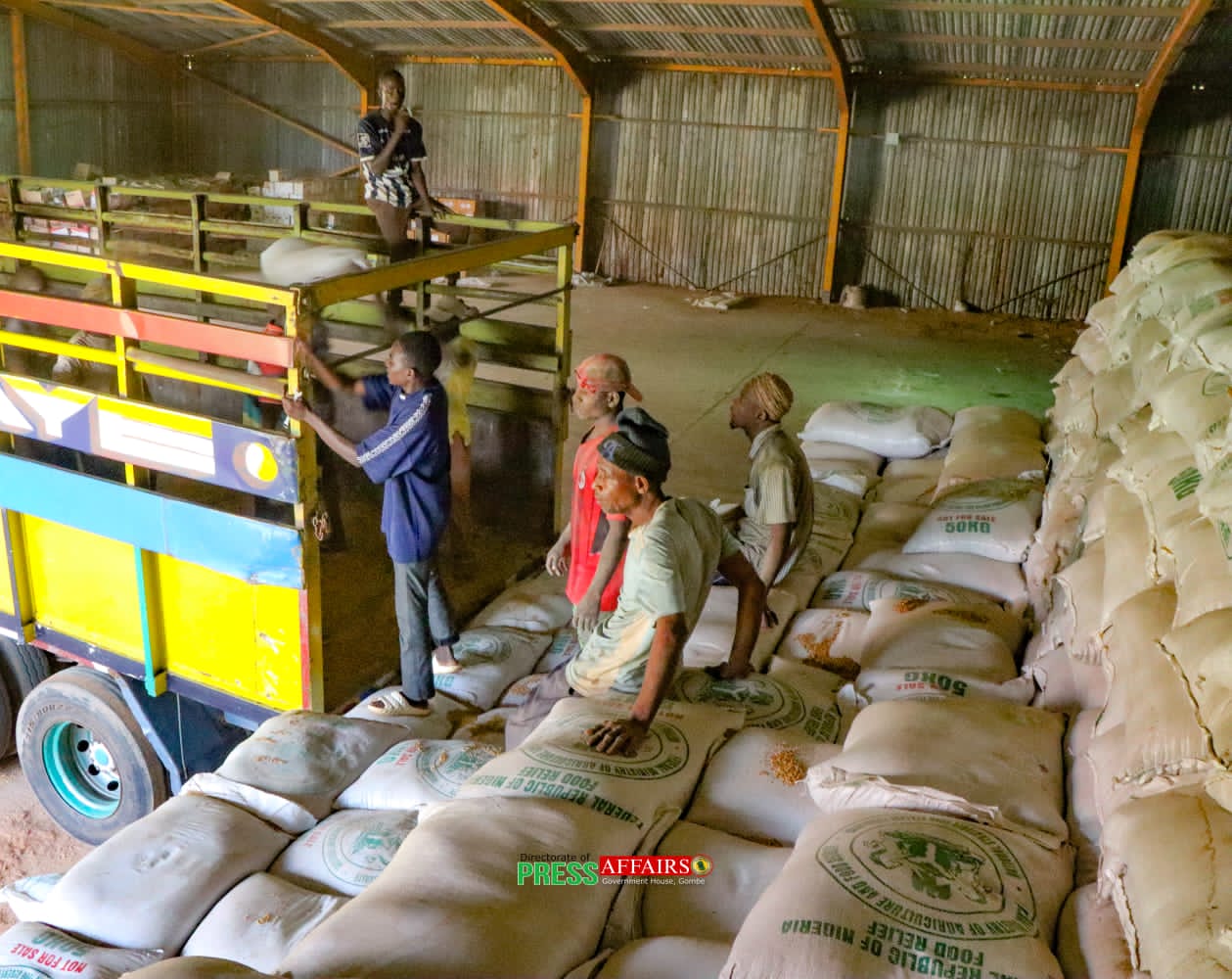 Hunger protest: Gombe begins distribution of food items in 11 LGAs ...