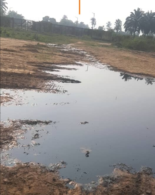 Scars of Oil: How Environmental Degradation Continues to Haunt Ogoni ...